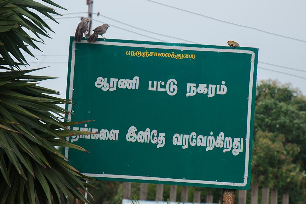 D'source Introduction | Silk Saree Weaving - Arani | D'Source Digital ...