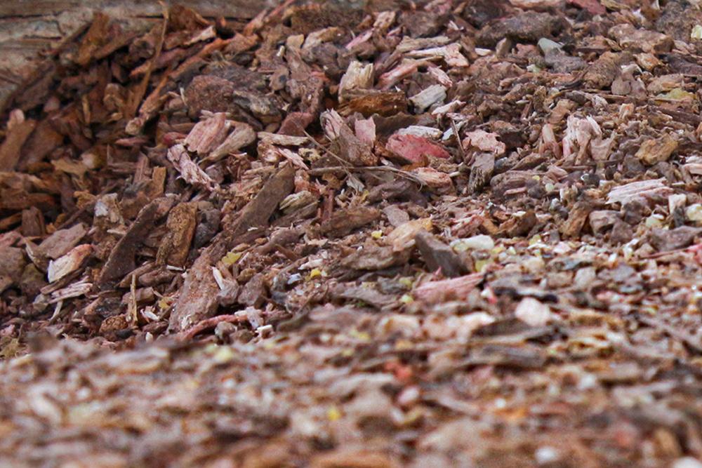 D'source Pataleshwara Temple | Panchalinga Darshan | D'Source Digital ...